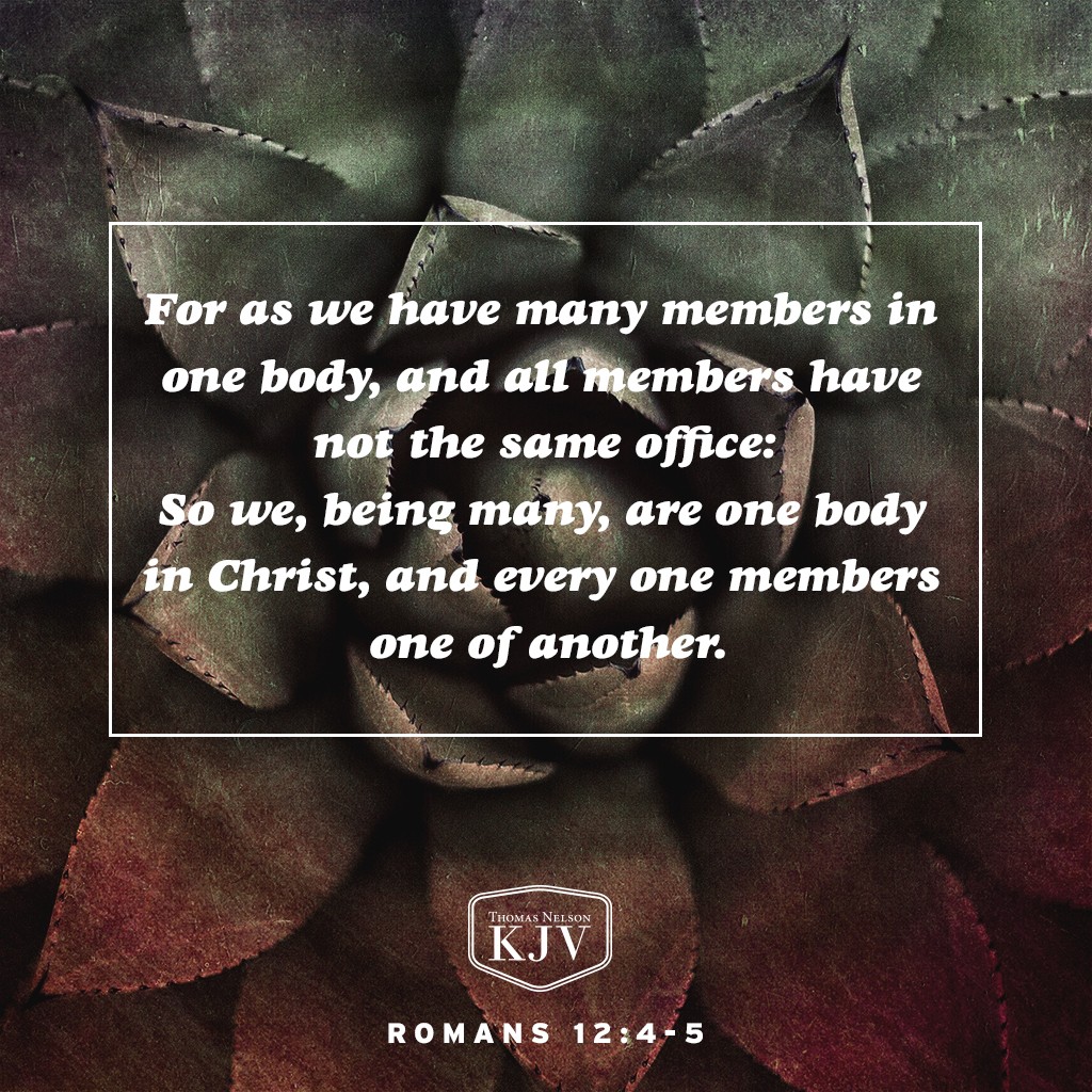 KJV Verse Of The Day Romans 12 4 5 KJV Verse Of The Day Romans 12 4 5