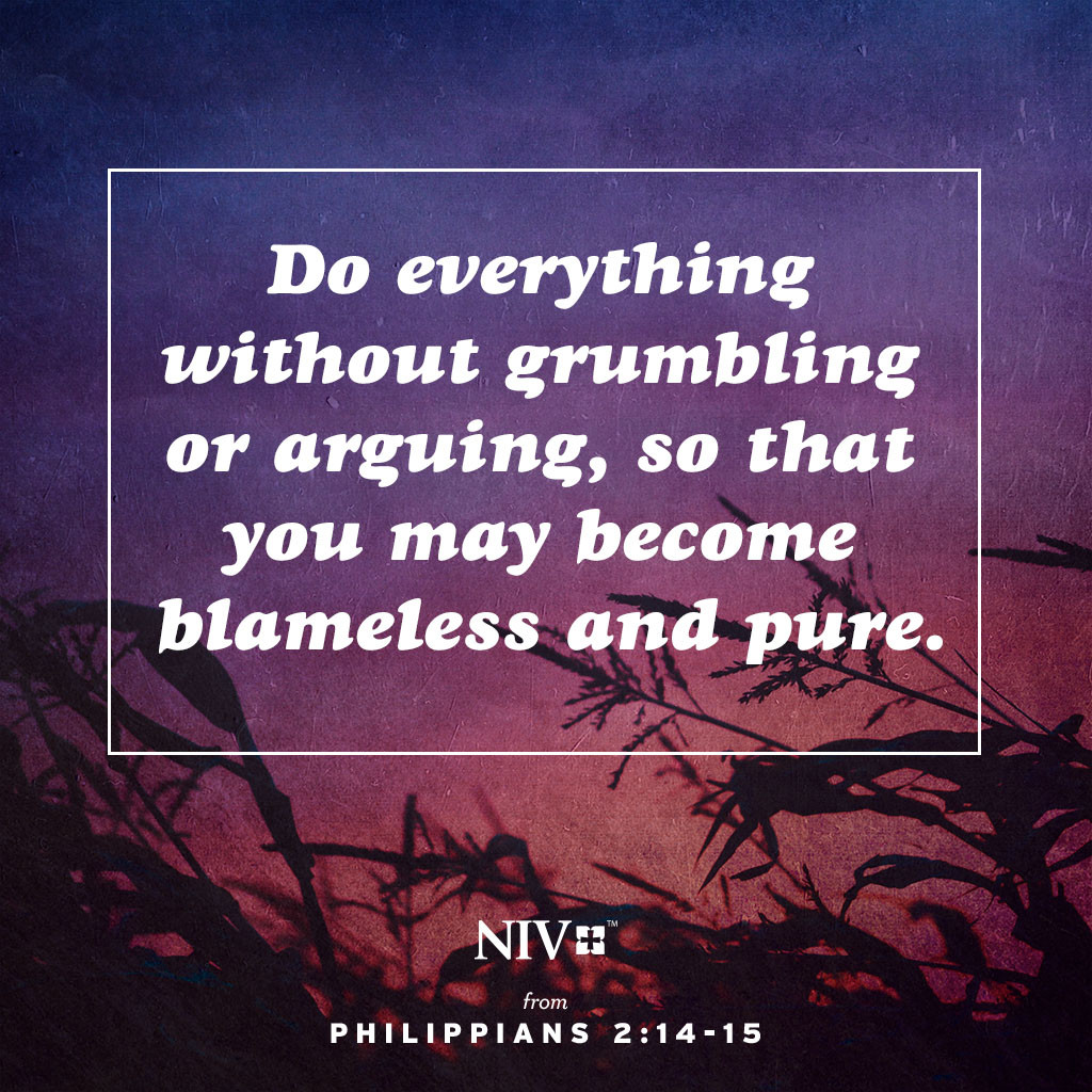 NIV Verse of the Day: Philippians 2:14-16