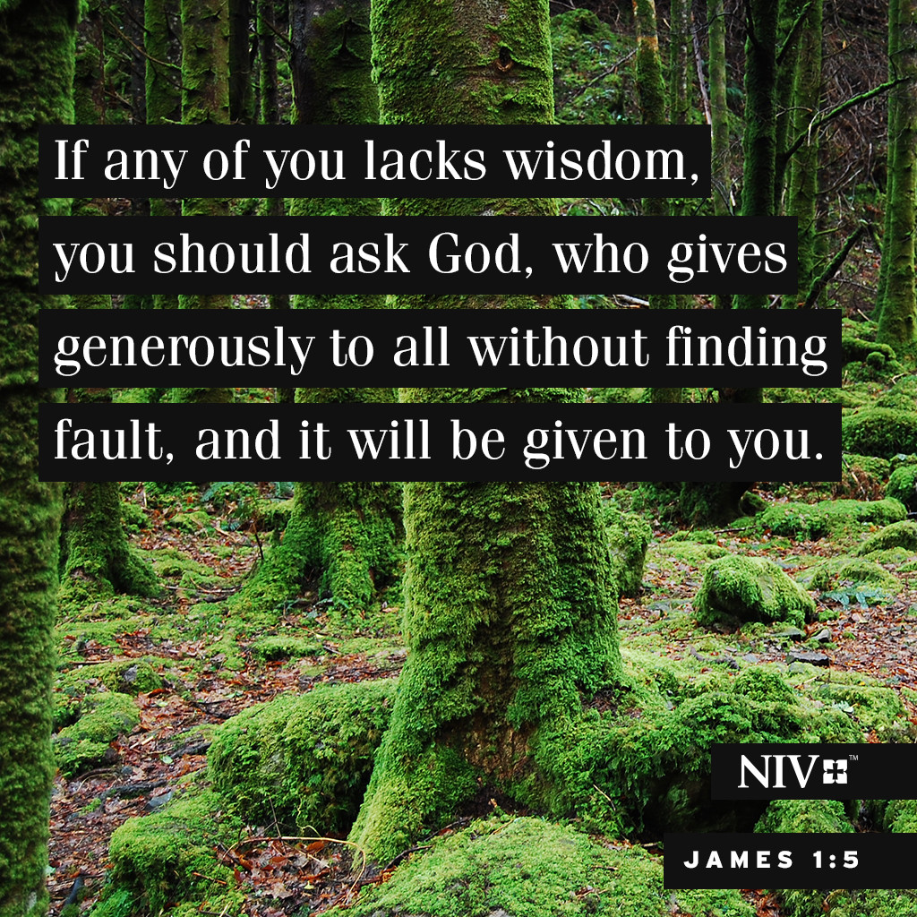NIV Verse of the Day: James 1:5