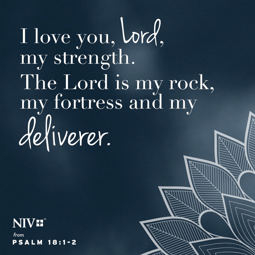 NIV Verse of the Day: Psalm 18:1-2