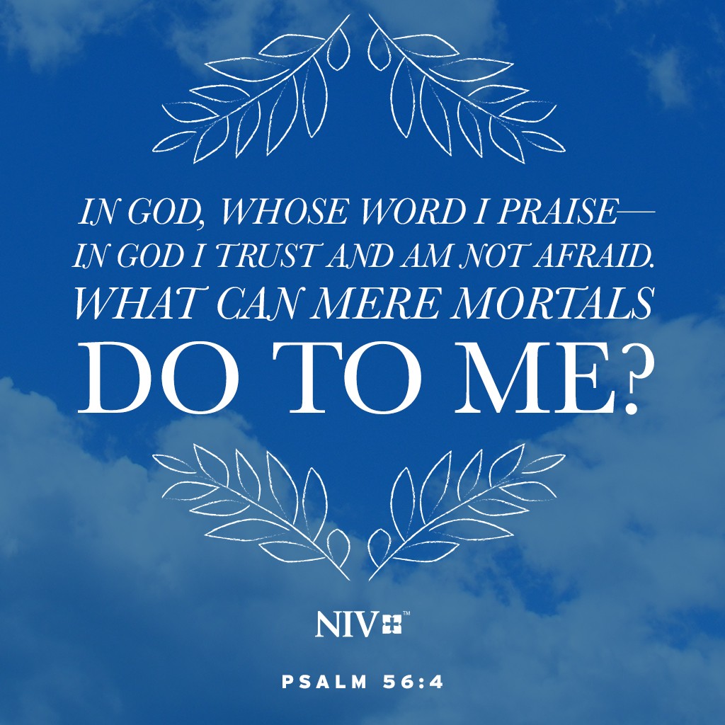NIV Verse Of The Day Psalm 56 4
