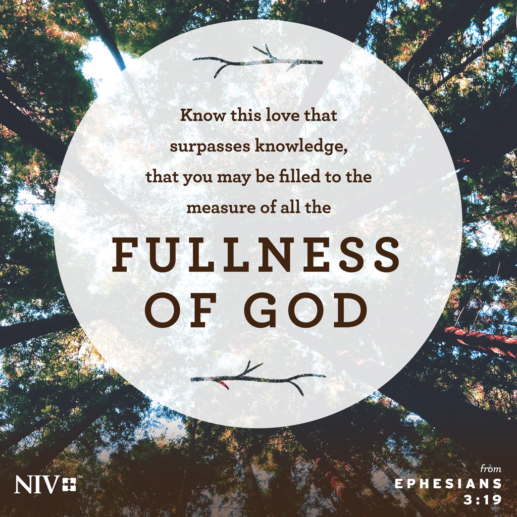 NIV Verse of the Day: Ephesians 3:17-19