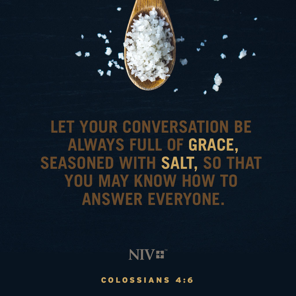 NIV Verse of the Day: Colossians 4:6