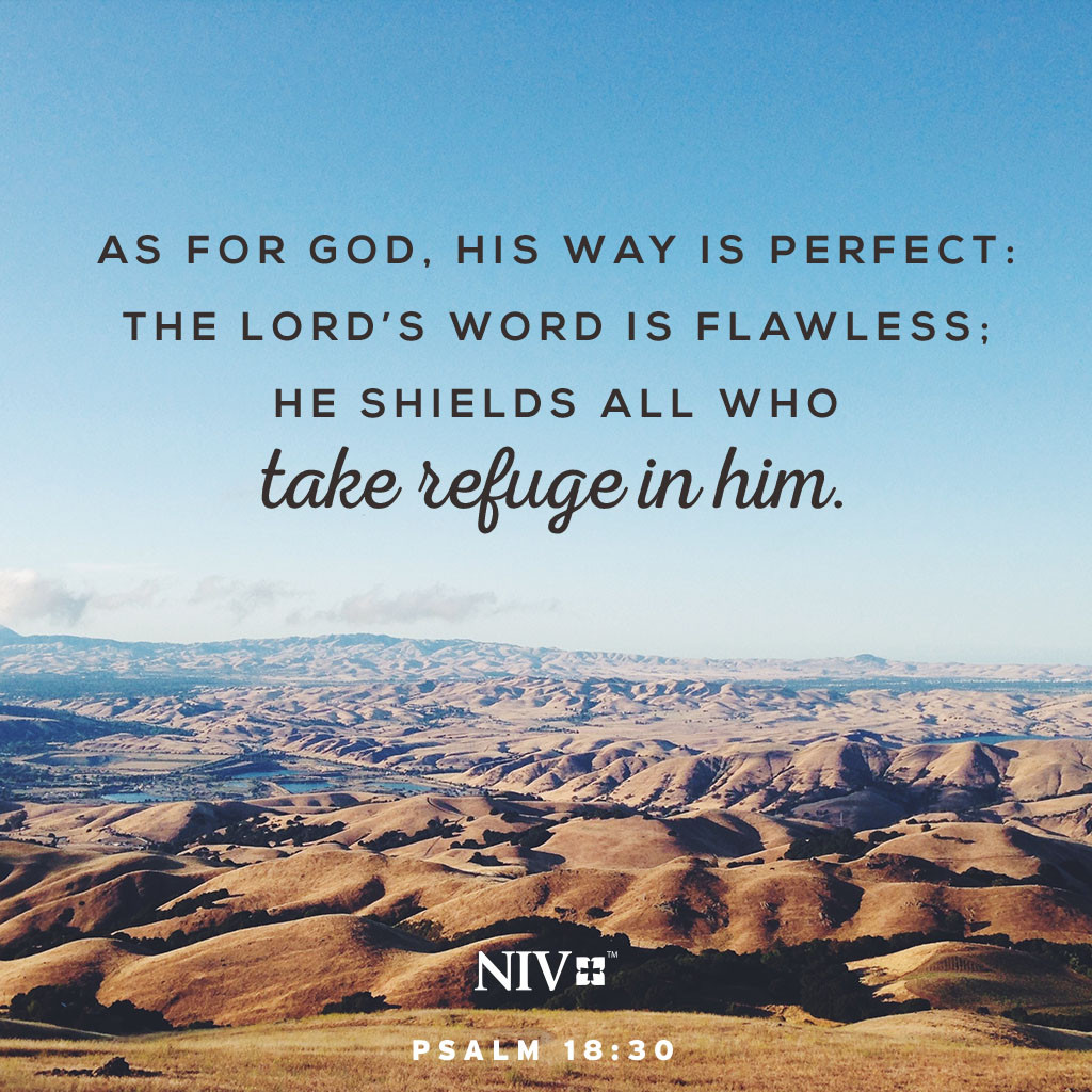 NIV Verse Of The Day Psalm 18 30 NIV Verse Of The Day Psalm 18 30