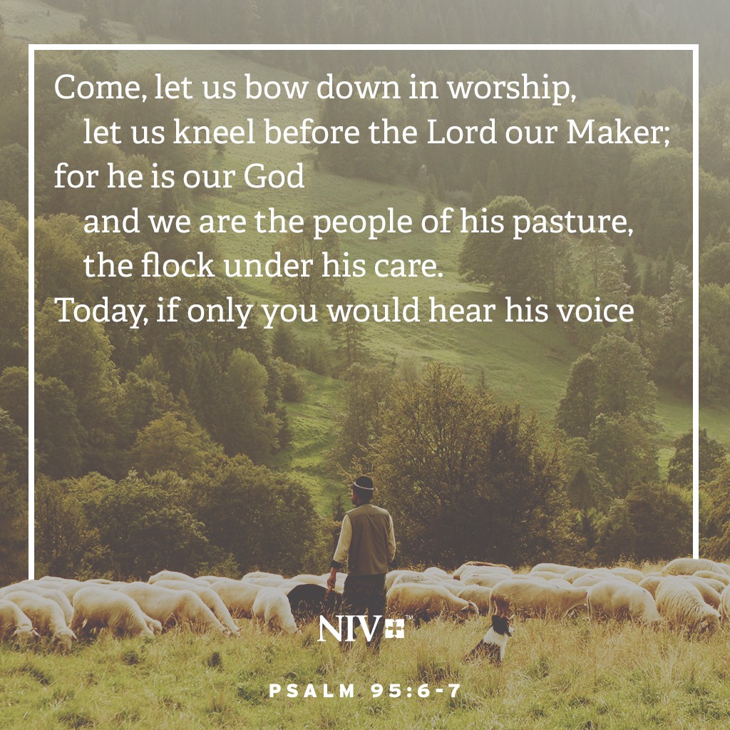 NIV Verse Of The Day Psalm 95 6 7 niv-verse-of-the-day-psalm-95-6-7