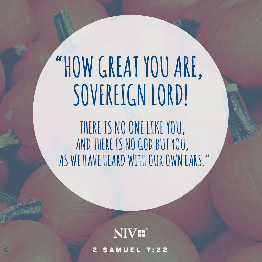 NIV Verse of the Day: 2 Samuel 7:22