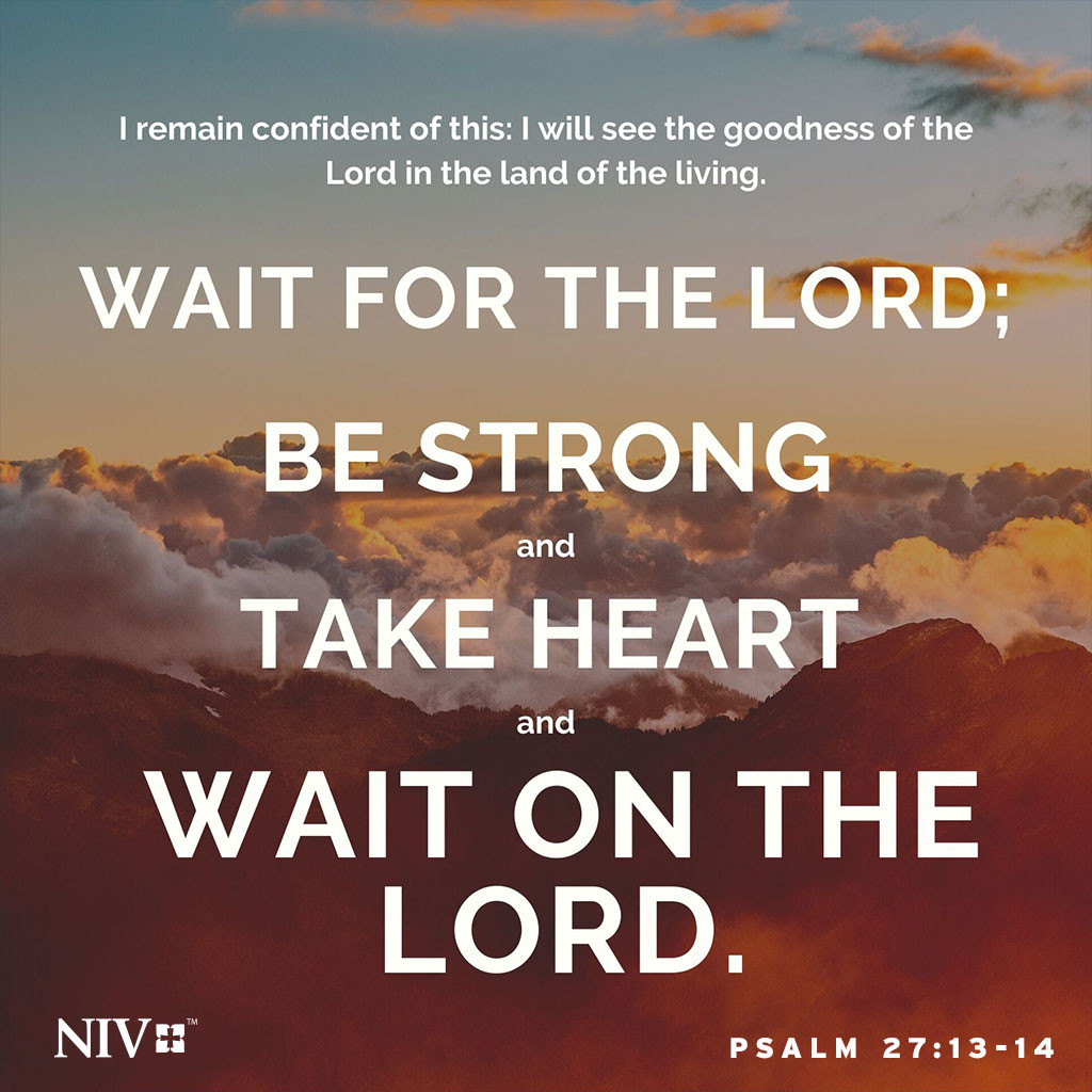 NIV Verse Of The Day Psalm 27 13 14