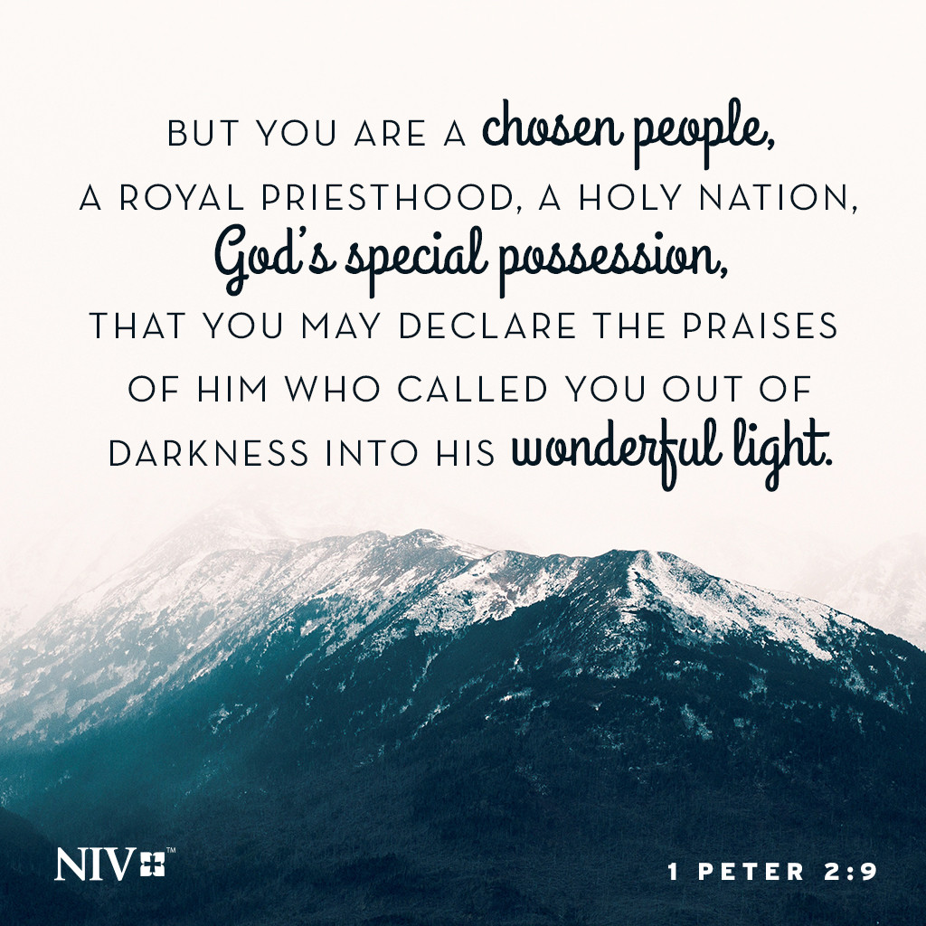 NIV Verse Of The Day 1 Peter 2 9
