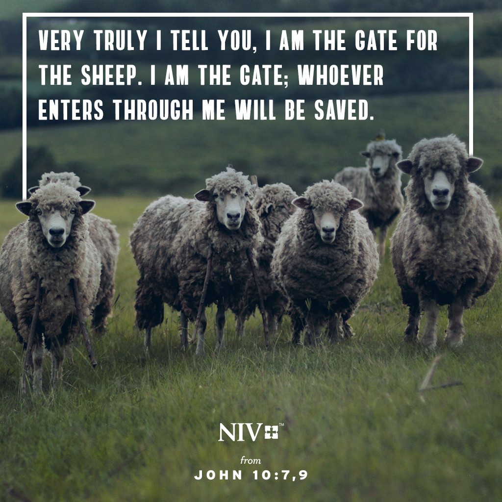 NIV Verse of the Day: John 10:7, 9-10