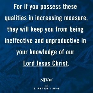 NIV Verse of the Day: 2 Peter 1:5-8