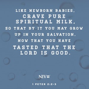 NIV Verse of the Day: 1 Peter 2:2-3
