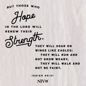 NIV Verse of the Day: Isaiah 40:30-31