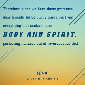 NIV Verse of the Day: 2 Corinthians 7:1