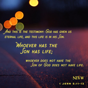 NIV Verse of the Day: 1 John 5:11-12