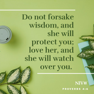 NIV Verse of the Day: Proverbs 4:6