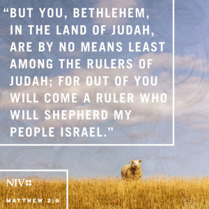 NIV Verse of the Day: Matthew 2:4-6