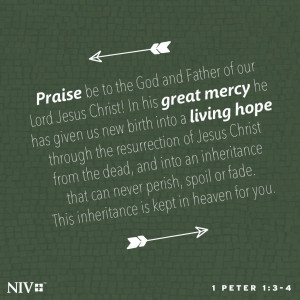 NIV Verse of the Day: 1 Peter 1:3-4