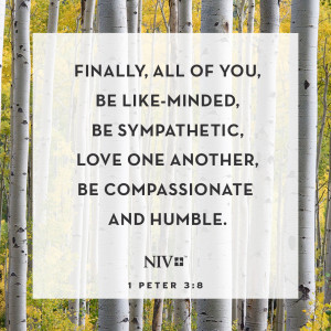 NIV Verse of the Day: 1 Peter 3:8