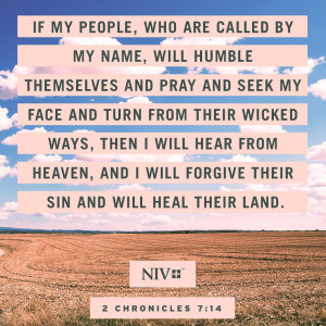 NIV Verse of the Day: 2 Chronicles 7:13-14