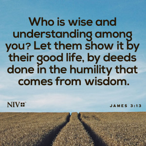 NIV Verse of the Day: James 3:13