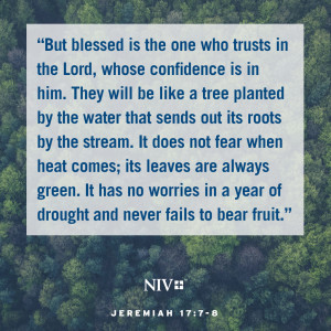 NIV Verse of the Day: Jeremiah 17:7-8