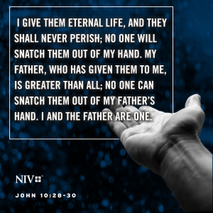 NIV Verse of the Day: John 10:28-30