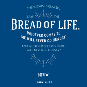 NIV Verse of the Day: John 6:35