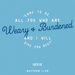 NIV Verse of the Day: Matthew 11:28