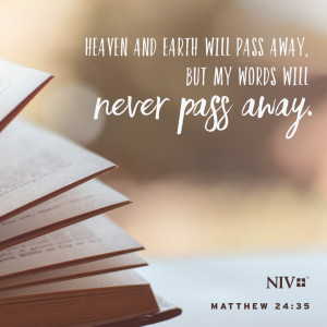 NIV Verse of the Day: Matthew 24:35