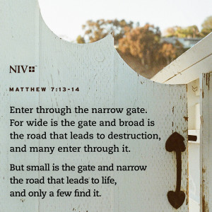 NIV Verse of the Day: Matthew 7:13-14