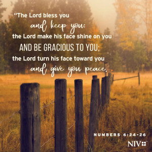 NIV Verse of the Day: Numbers 6:24-26