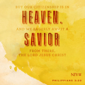 NIV Verse of the Day: Philippians 3:20-21