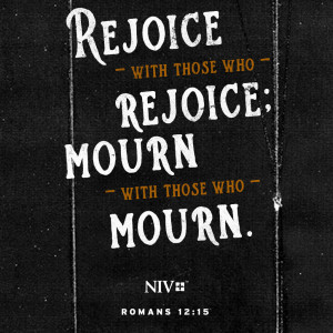 NIV Verse of the Day: Romans 12:15