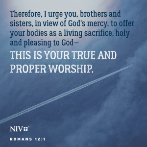 NIV Verse of the Day: Romans 12:1