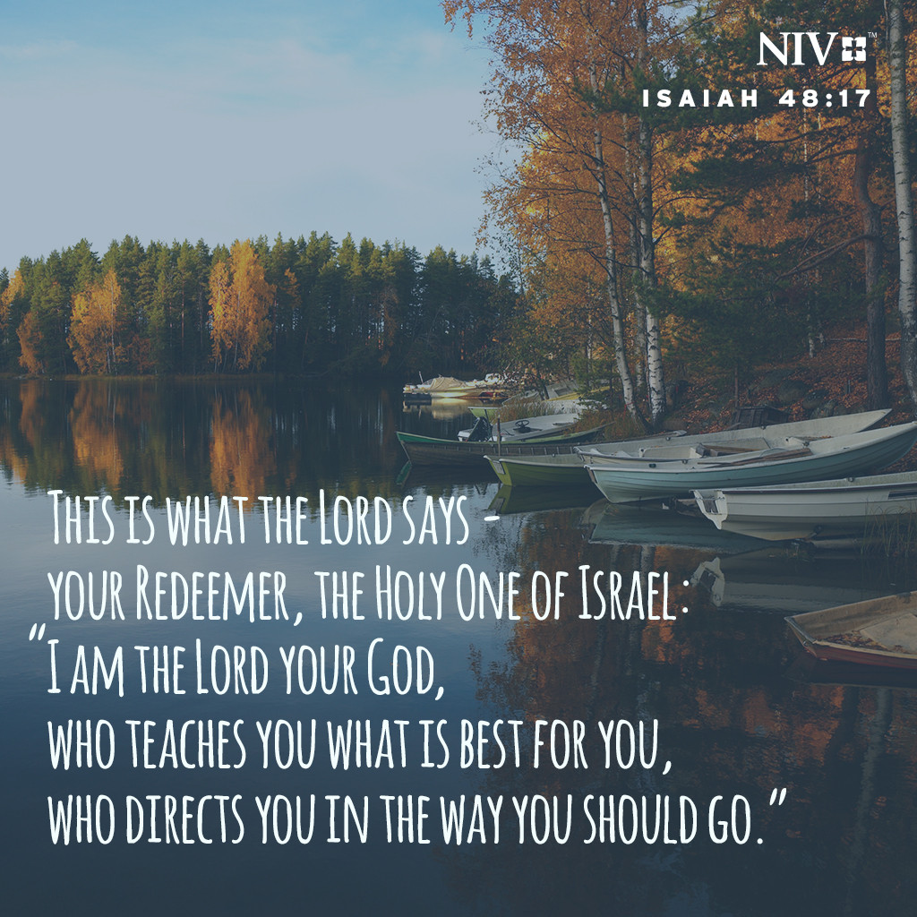 NIV Verse of the Day: Isaiah 48:17