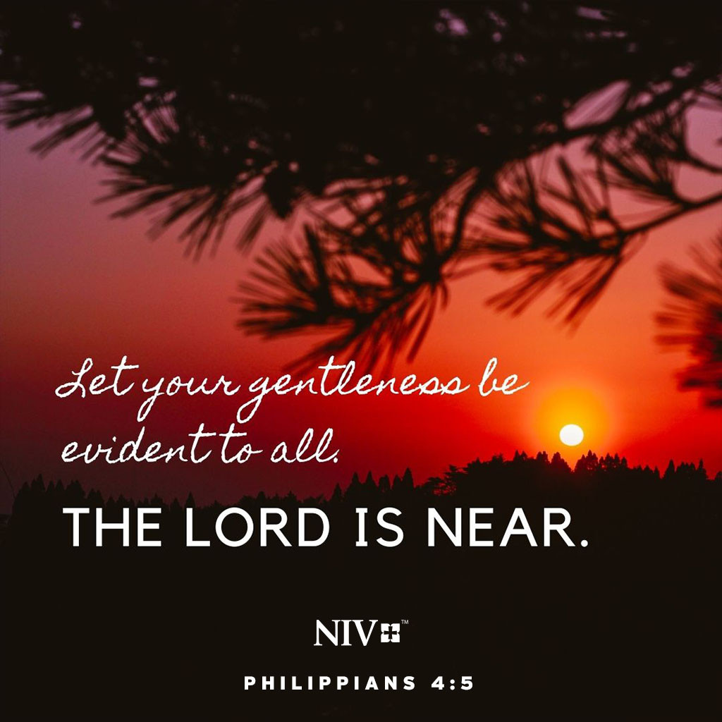 NIV Verse of the Day: Philippians 4:5