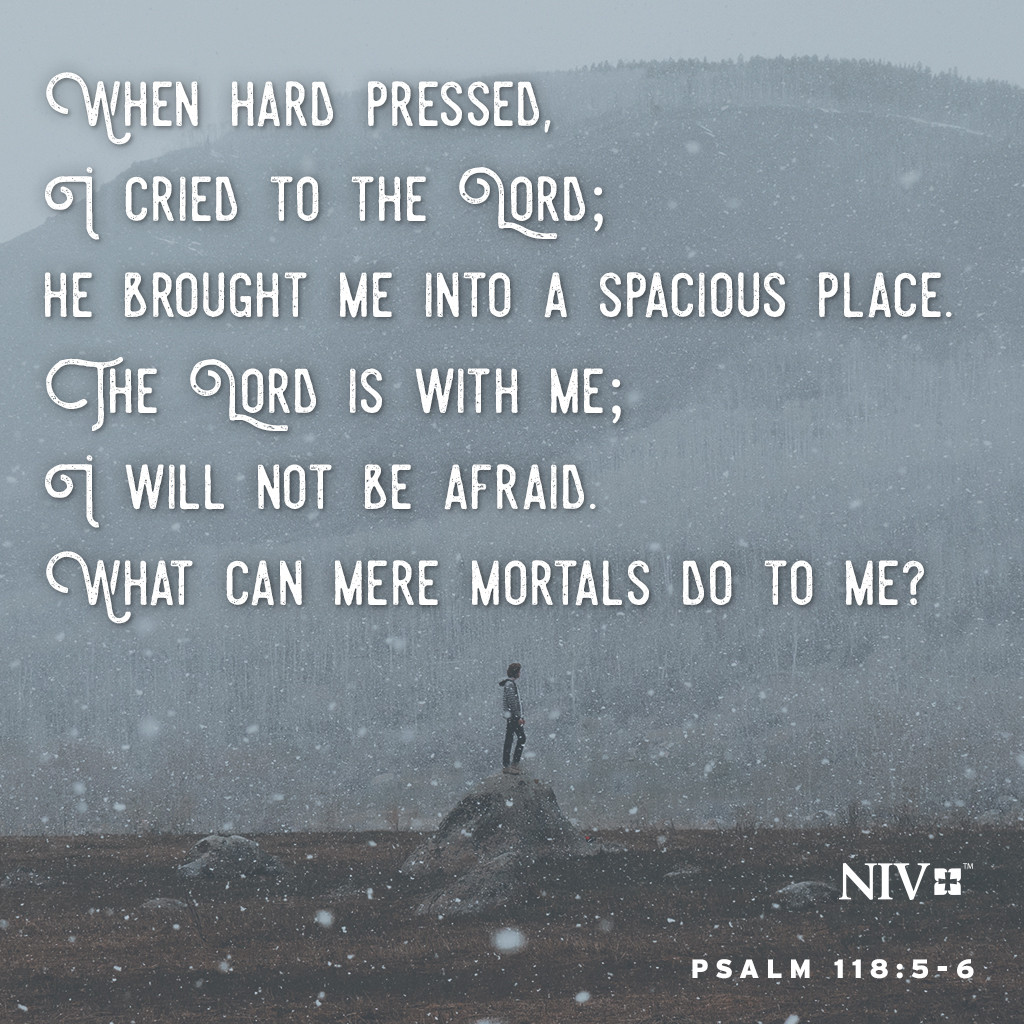 NIV Verse Of The Day Psalm 118 5 6