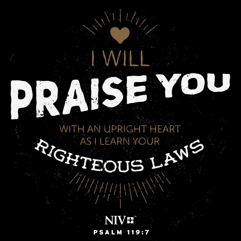 NIV Verse of the Day: Psalm 119:7
