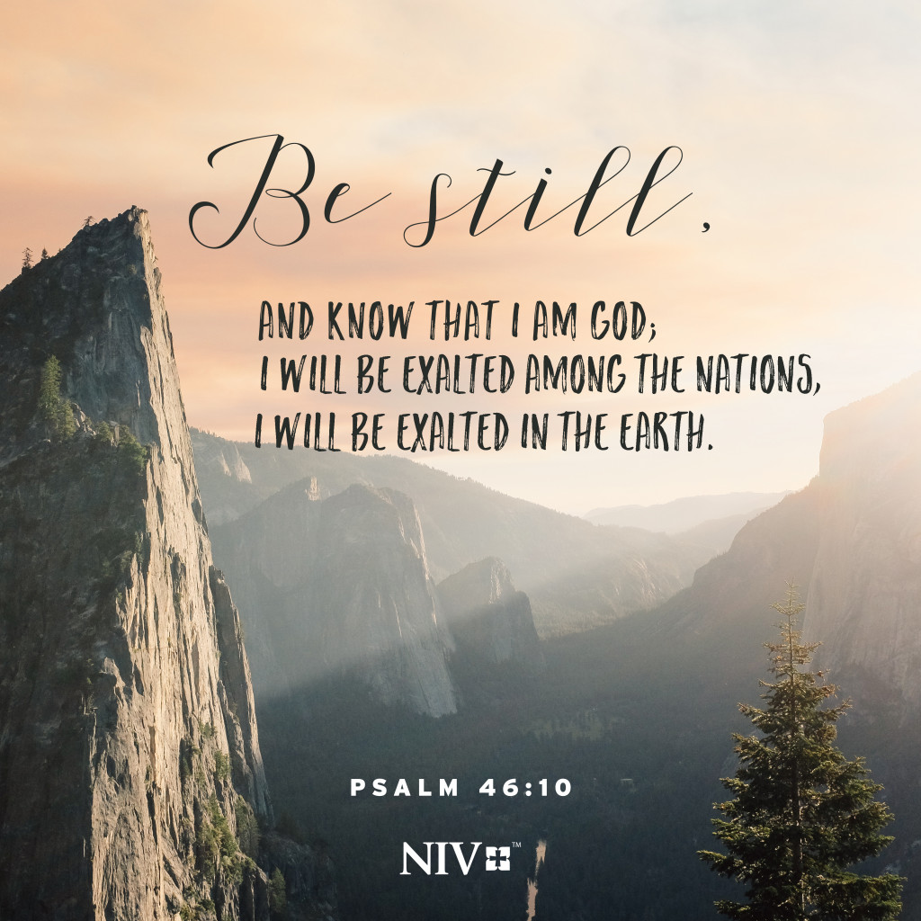 NIV Verse Of The Day Psalm 46 8 10