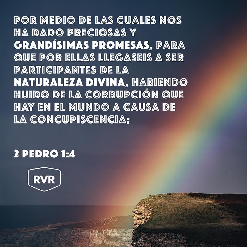 RVR Vers culo B blico Diario 2 Pedro 1 4 RVR Vers culo B blico Diario 2 Pedro 1 4