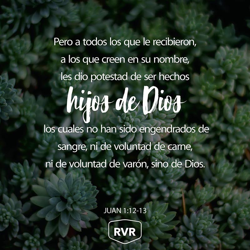 RVR Vers culo B blico Diario Juan 1 12 13