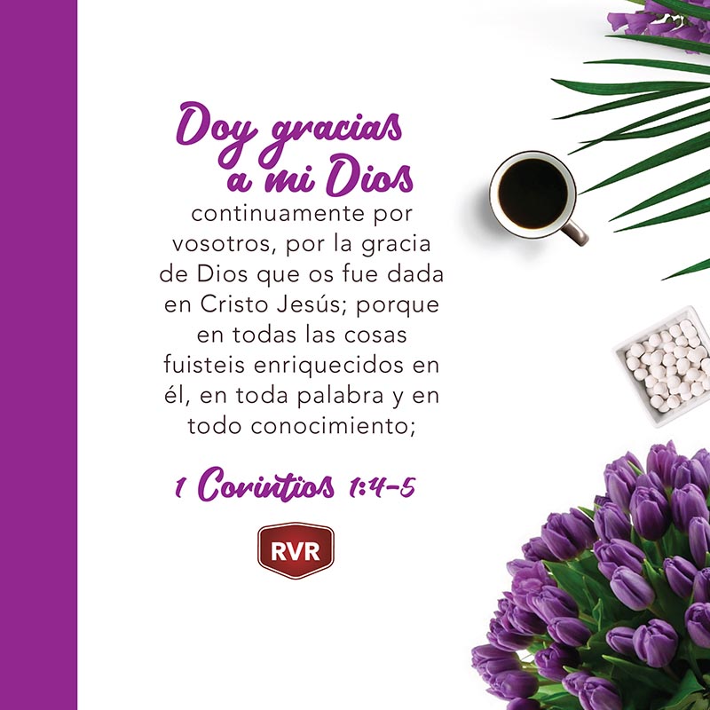 RVR Versículo Bíblico Diario: 1 Corintios 1:4-5