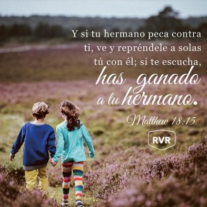 RVR Versículo Bíblico Diario: Mateo 18:15