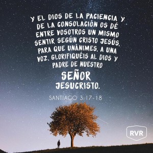 RVR Versículo Bíblico Diario: Romanos 15:5-6