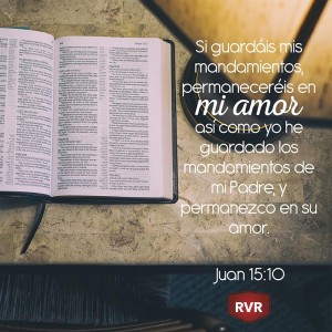 RVR Versículo Bíblico Diario: Juan 15:10