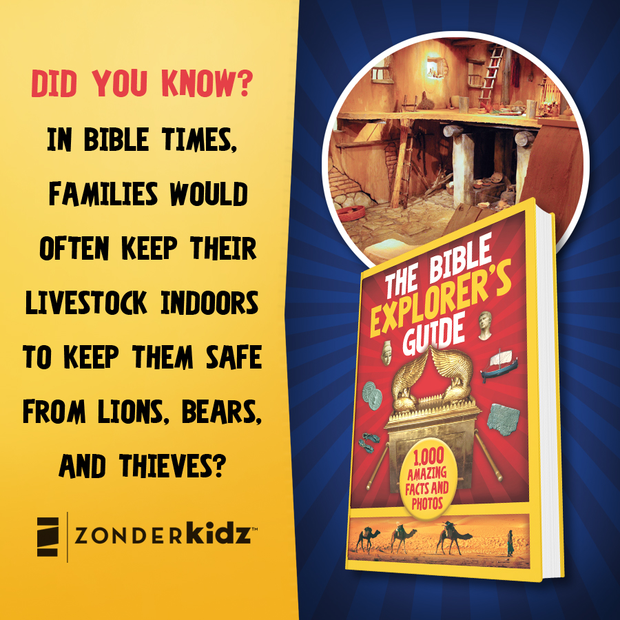 The Bible Explorer's Guide - HCCP Media