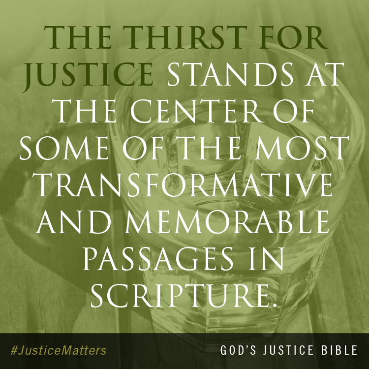 NIV God's Justice Bible - HCCP Media