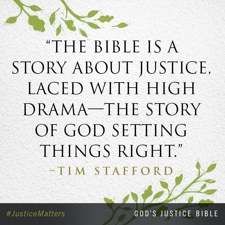 NIV God's Justice Bible - HCCP Media